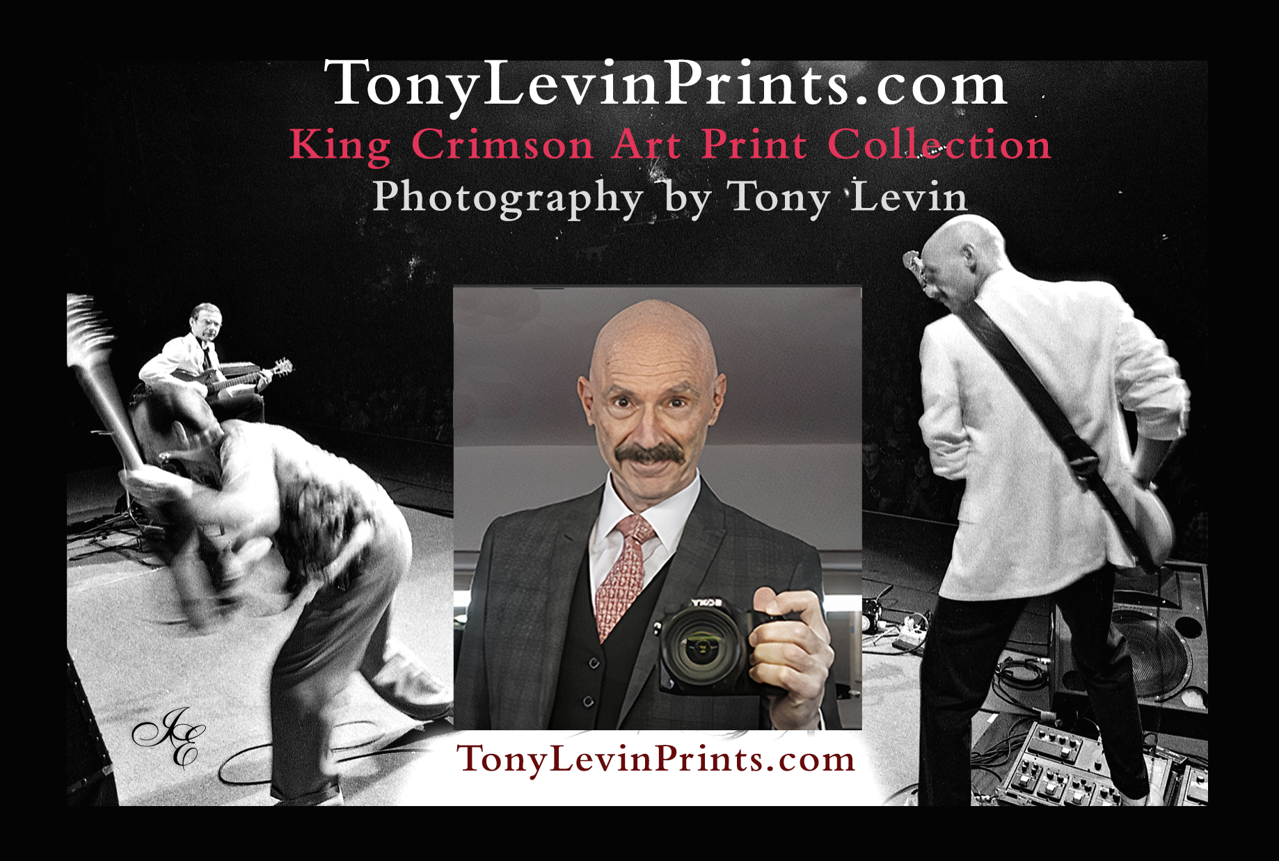 Tony Levin's Official Photo Archive - Timeless Prints